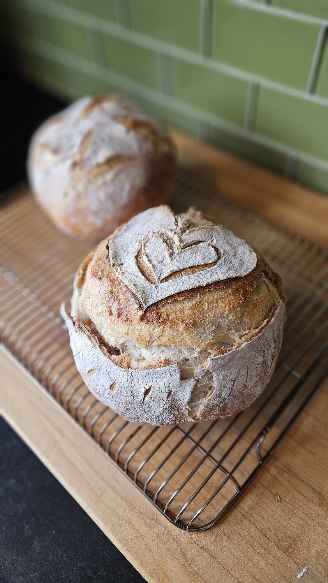 cupid_kitchen_2025_9a.jpg | BackYard Chickens - Learn How to Raise Chickens