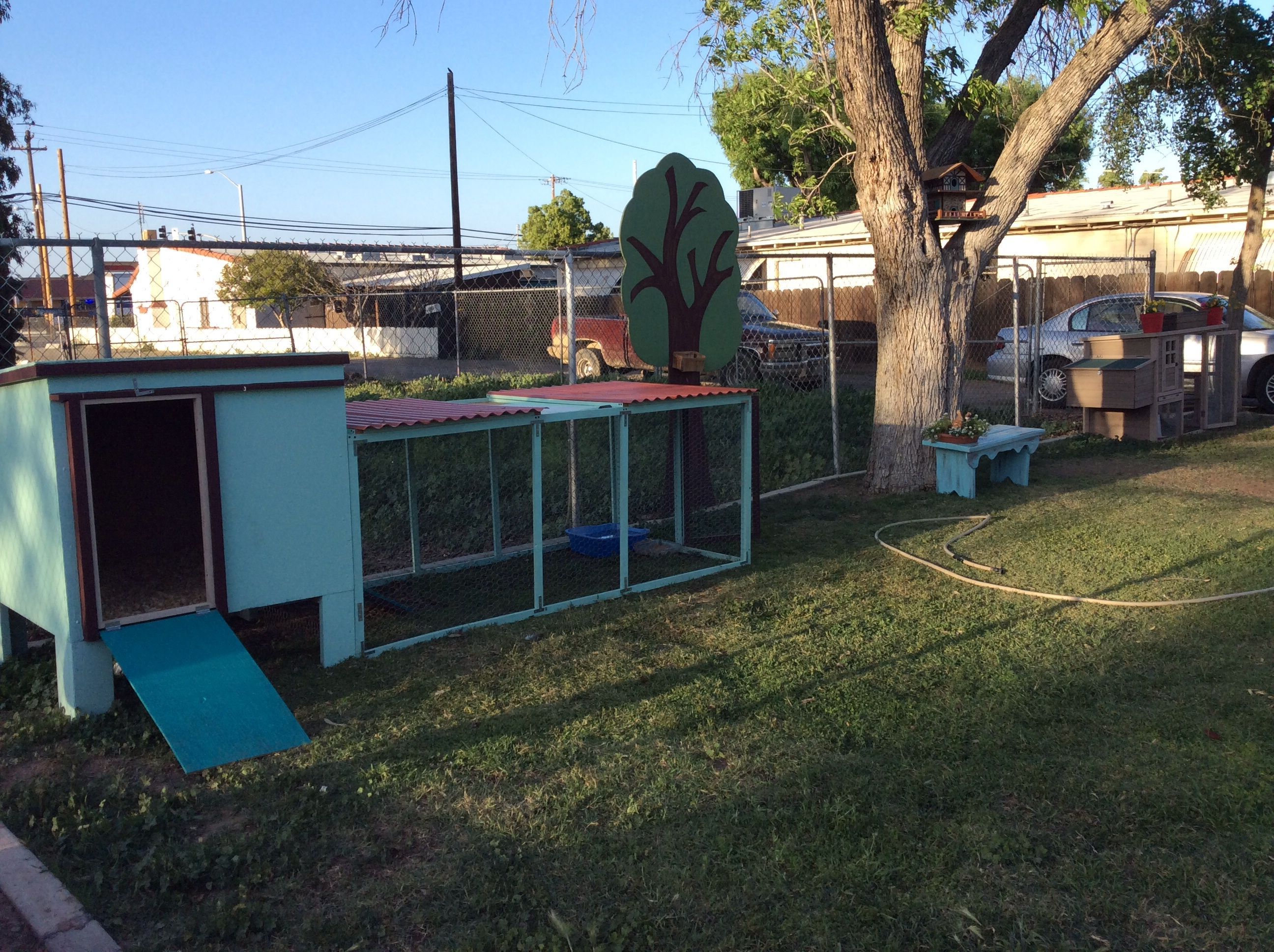Duck house and chick house | BackYard Chickens - Learn How to Raise ...
