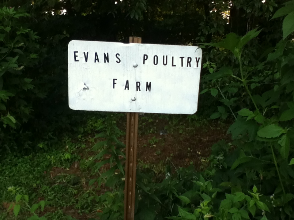 Evans Poultry Farm sign. | BackYard Chickens - Learn How to Raise Chickens