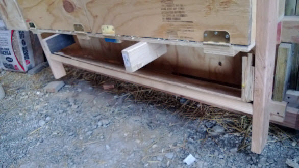 External feeder | BackYard Chickens - Learn How to Raise Chickens