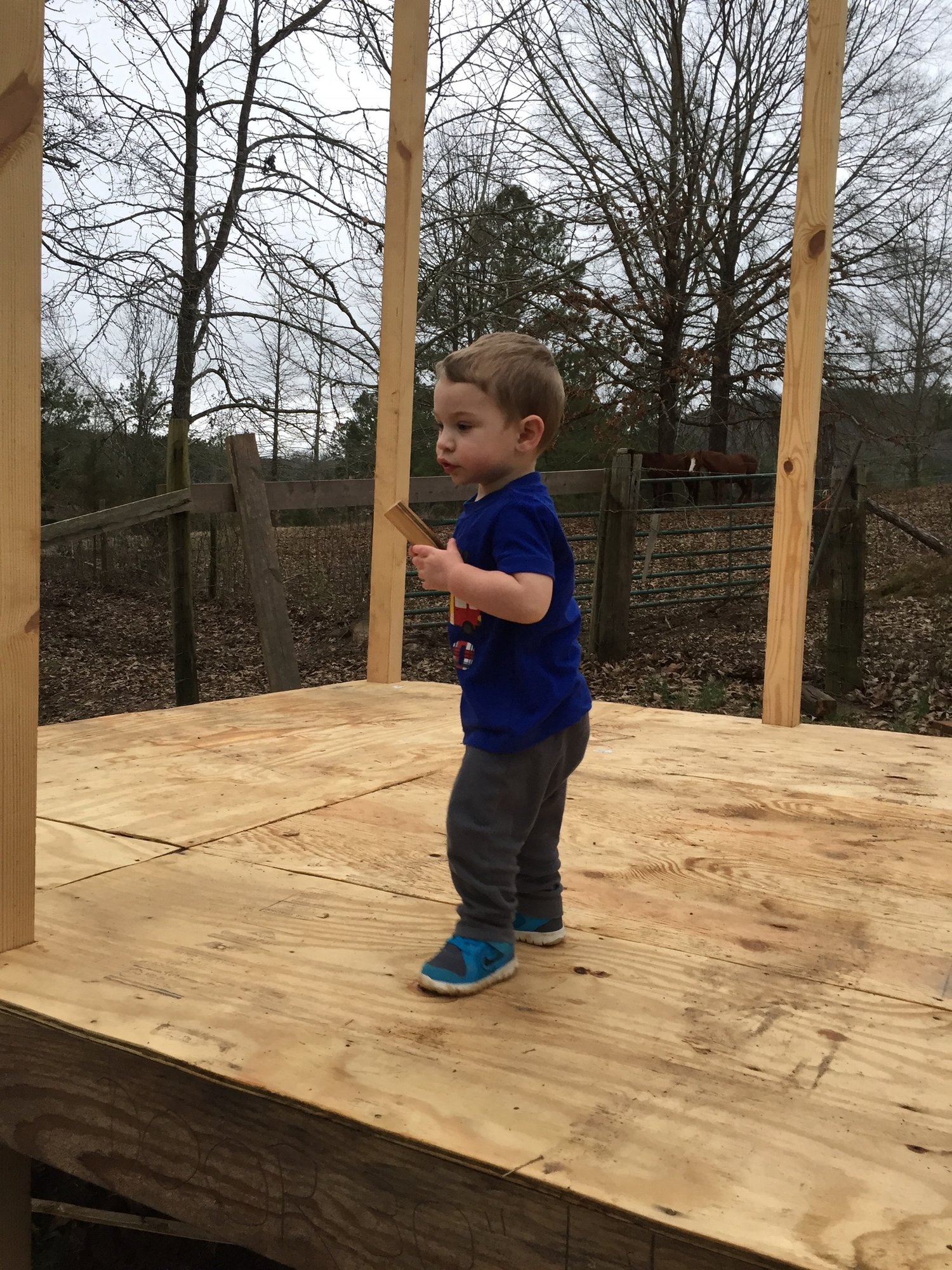 Extra hands are always helpful | BackYard Chickens - Learn How to Raise ...