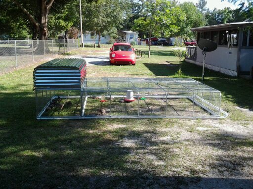 First chicken tractor sled | BackYard Chickens - Learn How to Raise ...