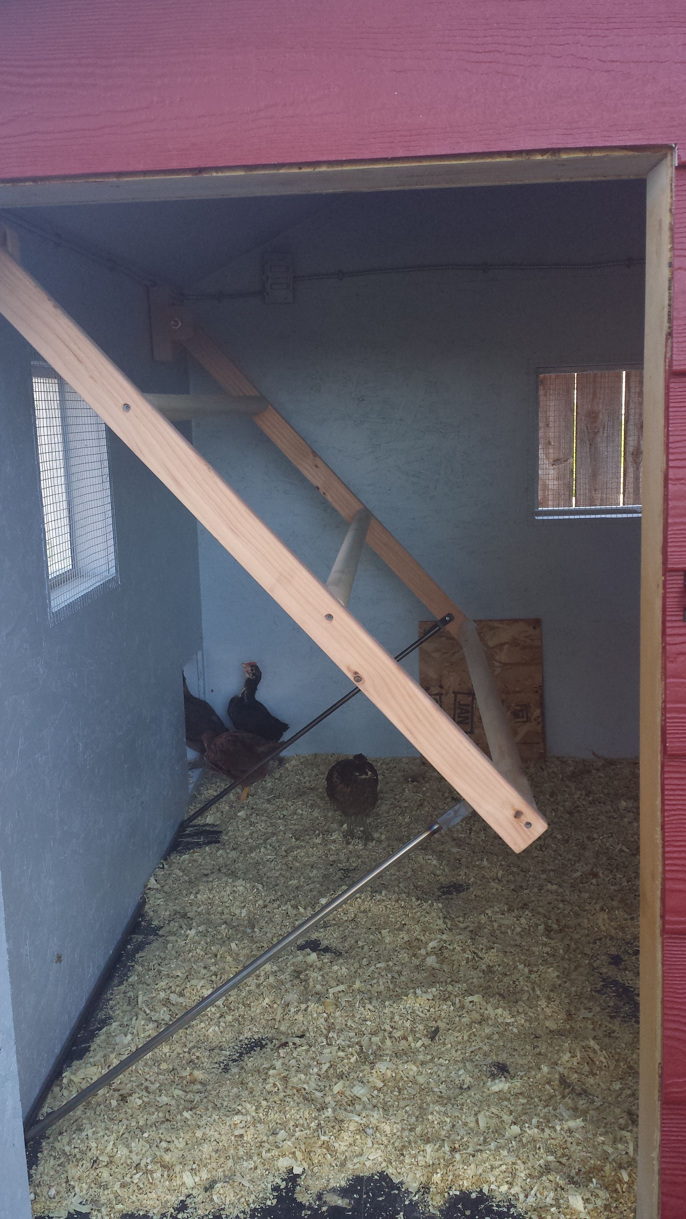Fold away roosting rack. | BackYard Chickens - Learn How to Raise Chickens