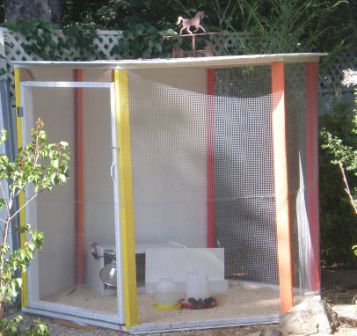 Hexagonal chicken coop | BackYard Chickens - Learn How to Raise Chickens