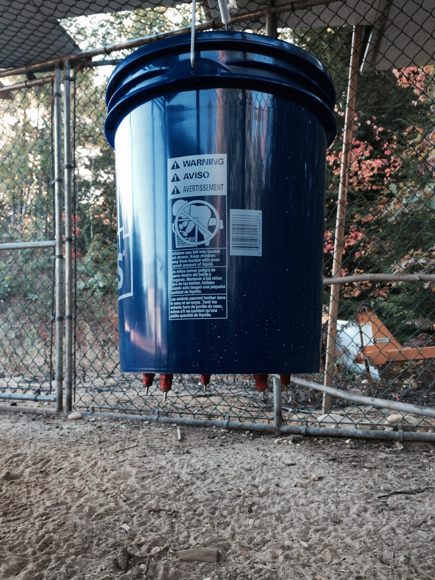 Homemade waterer | BackYard Chickens - Learn How to Raise Chickens
