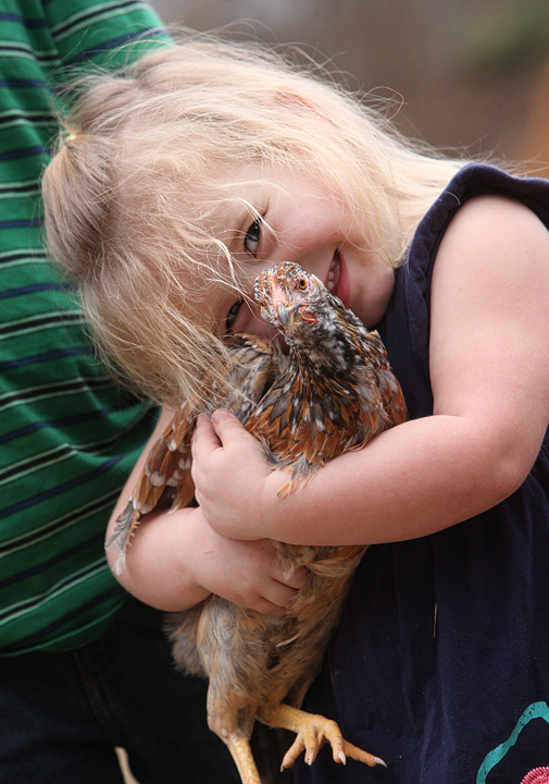 Hug a chicken! | BackYard Chickens - Learn How to Raise Chickens