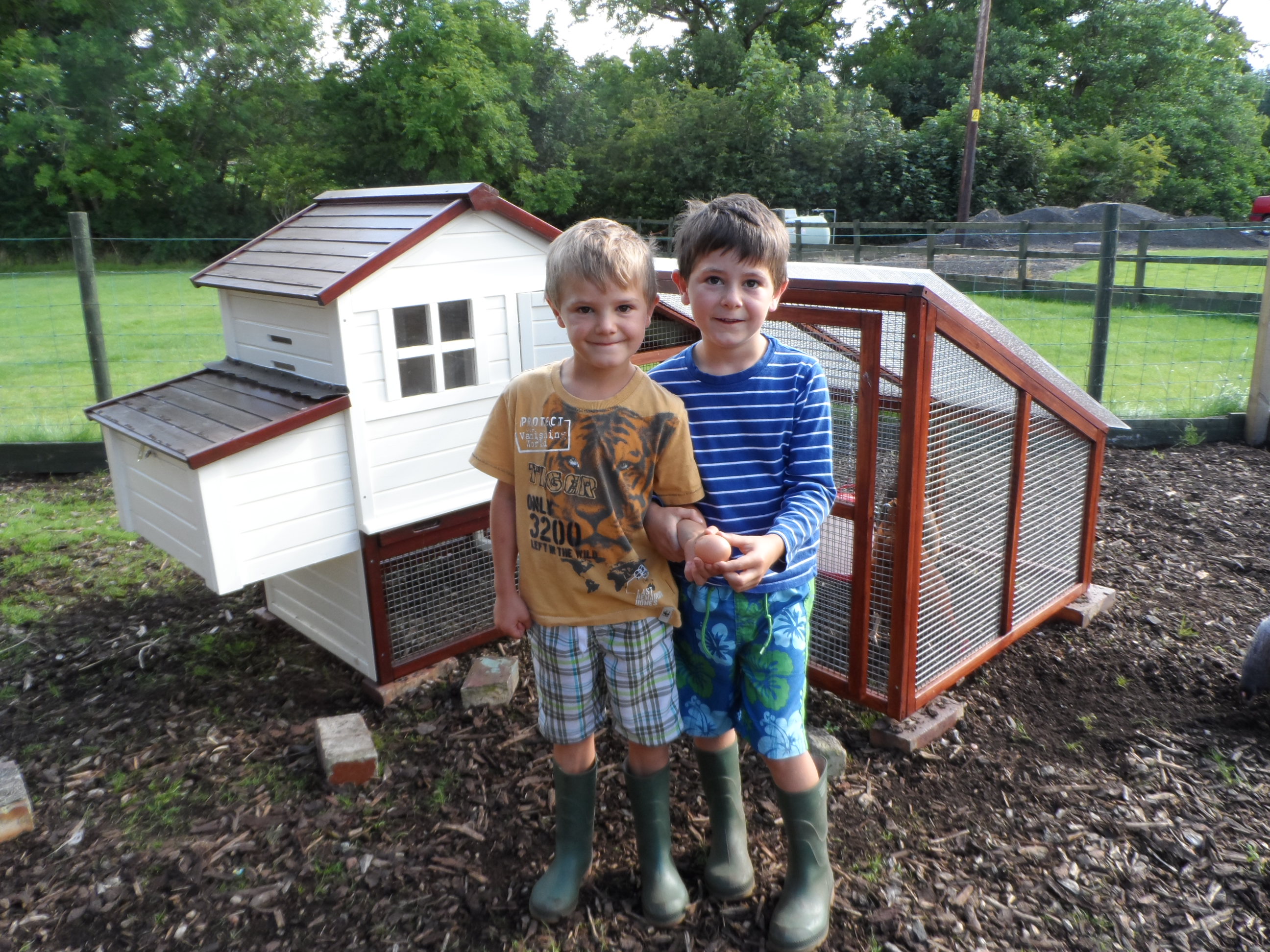 Jake and Matthew with first egg. | BackYard Chickens - Learn How to ...