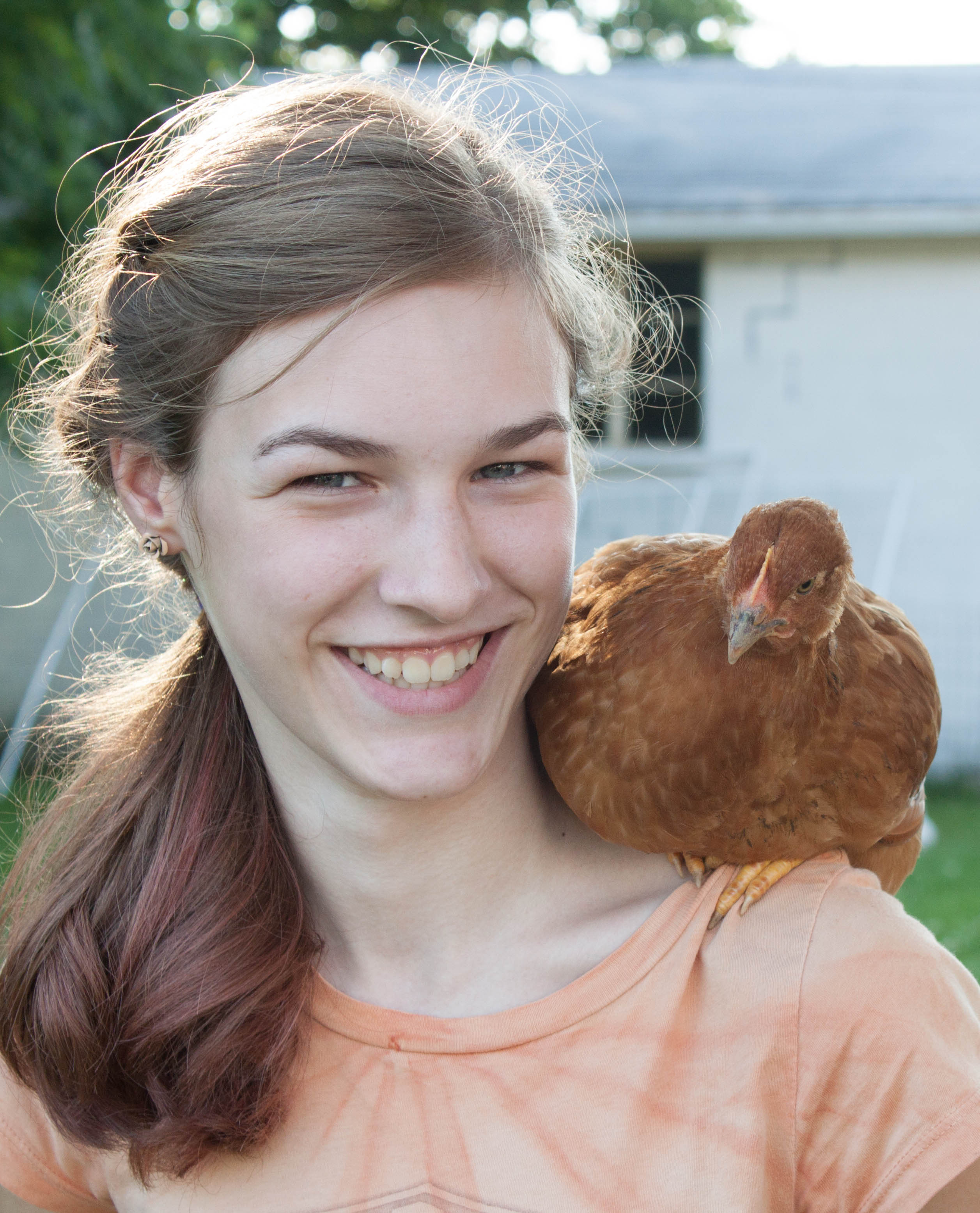 Lily Bell Backyard Chickens Learn How To Raise Chickens