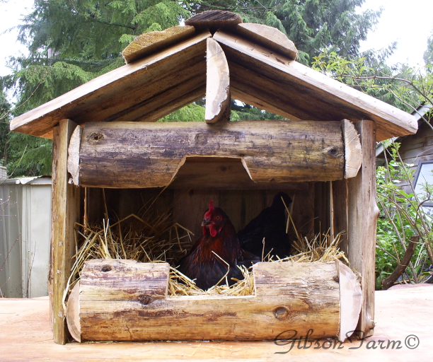 Log Cabin nesting box | BackYard Chickens - Learn How to Raise Chickens