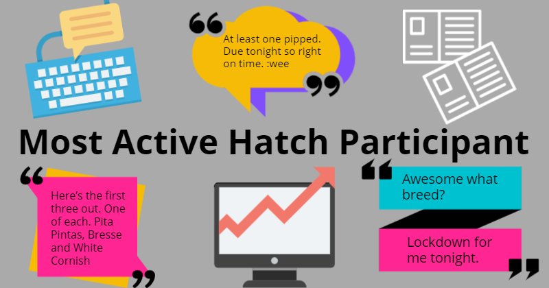 Most active hatch participant.jpg | BackYard Chickens - Learn How to ...