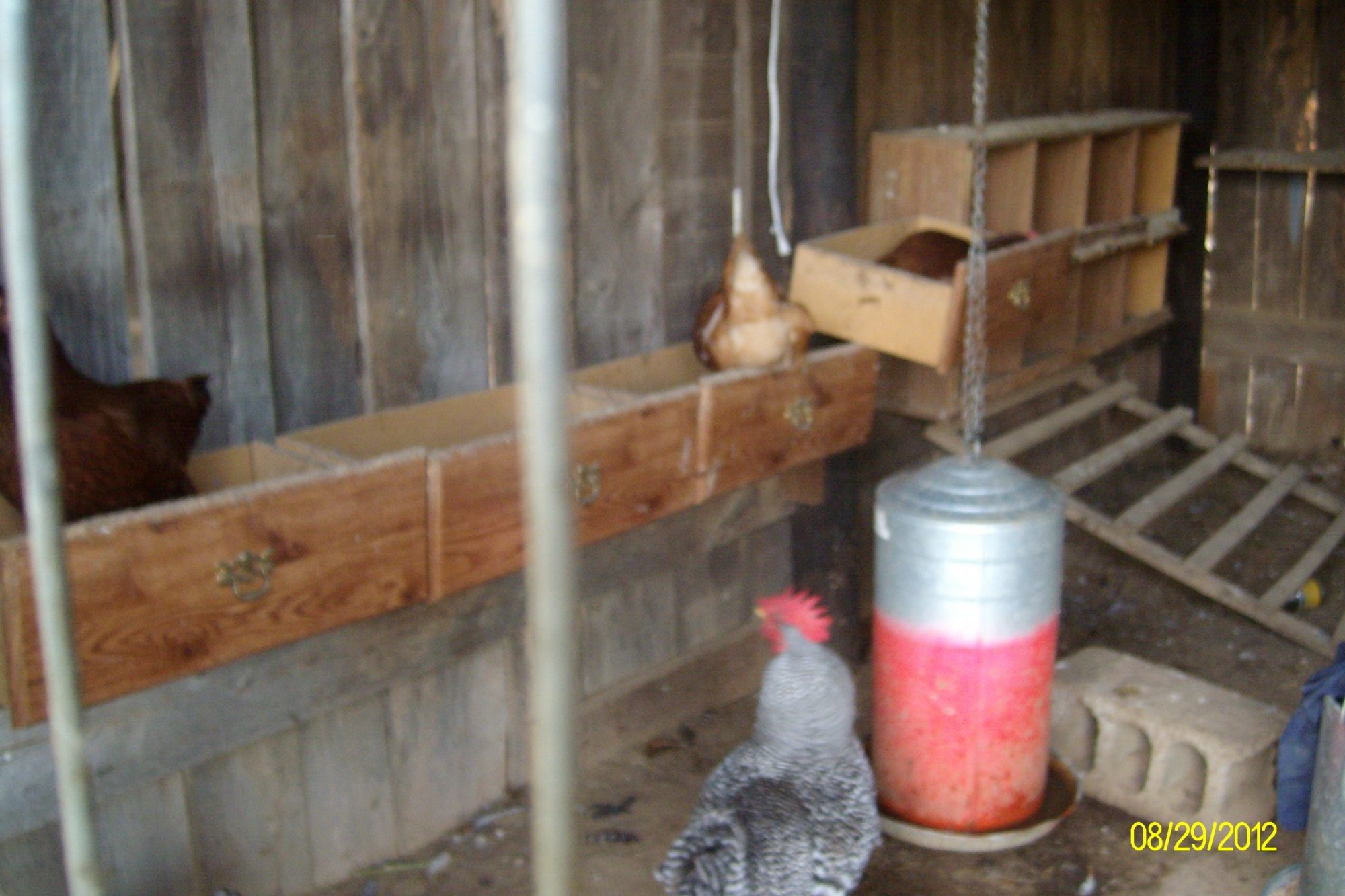 my nesting boxes | BackYard Chickens - Learn How to Raise Chickens