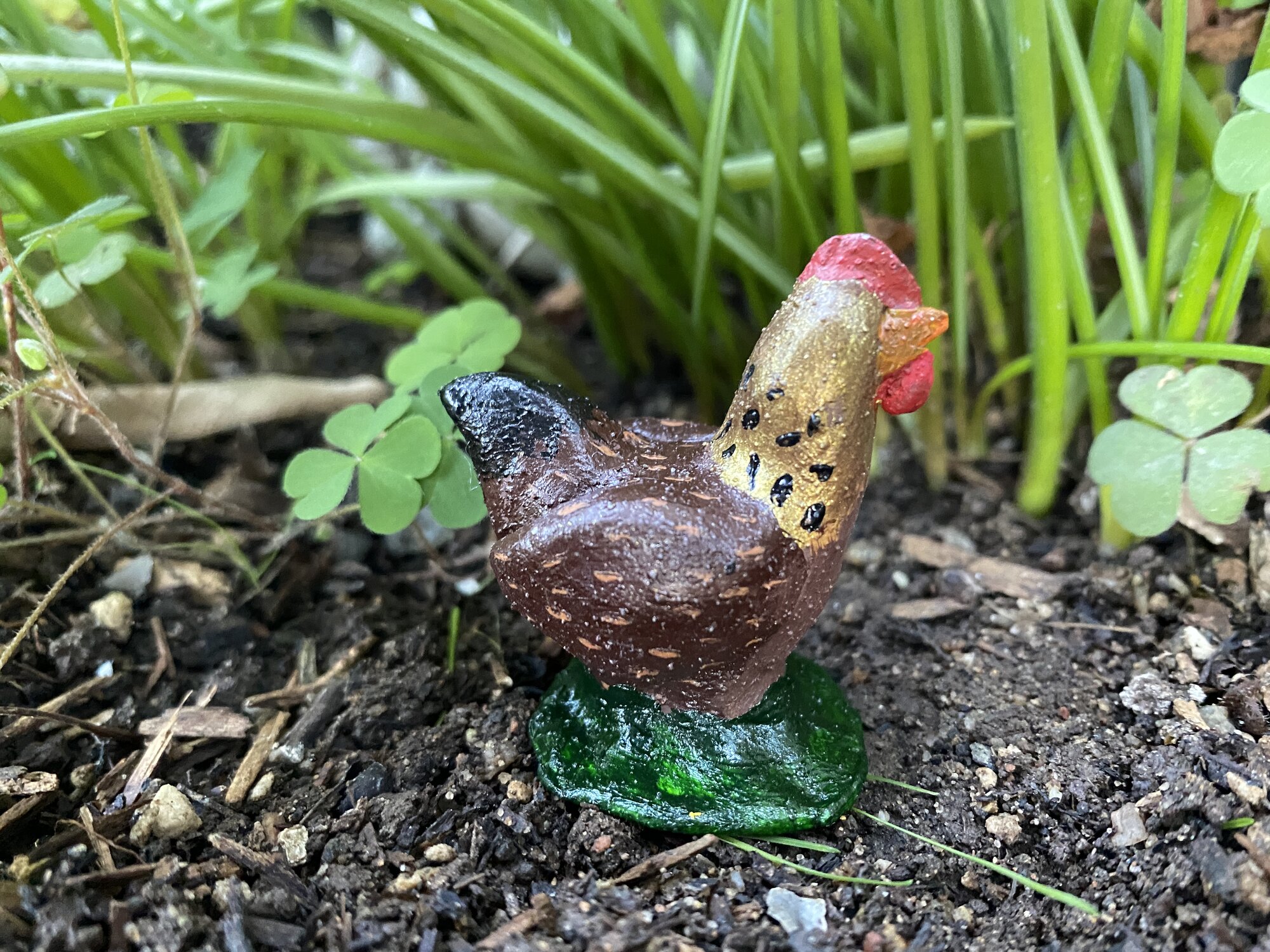 Nonae, a welsummer hen. | BackYard Chickens - Learn How to Raise Chickens