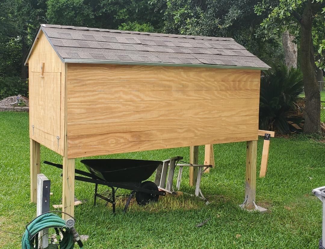 Our Chicks Coop Nearly ready | BackYard Chickens - Learn How to Raise ...