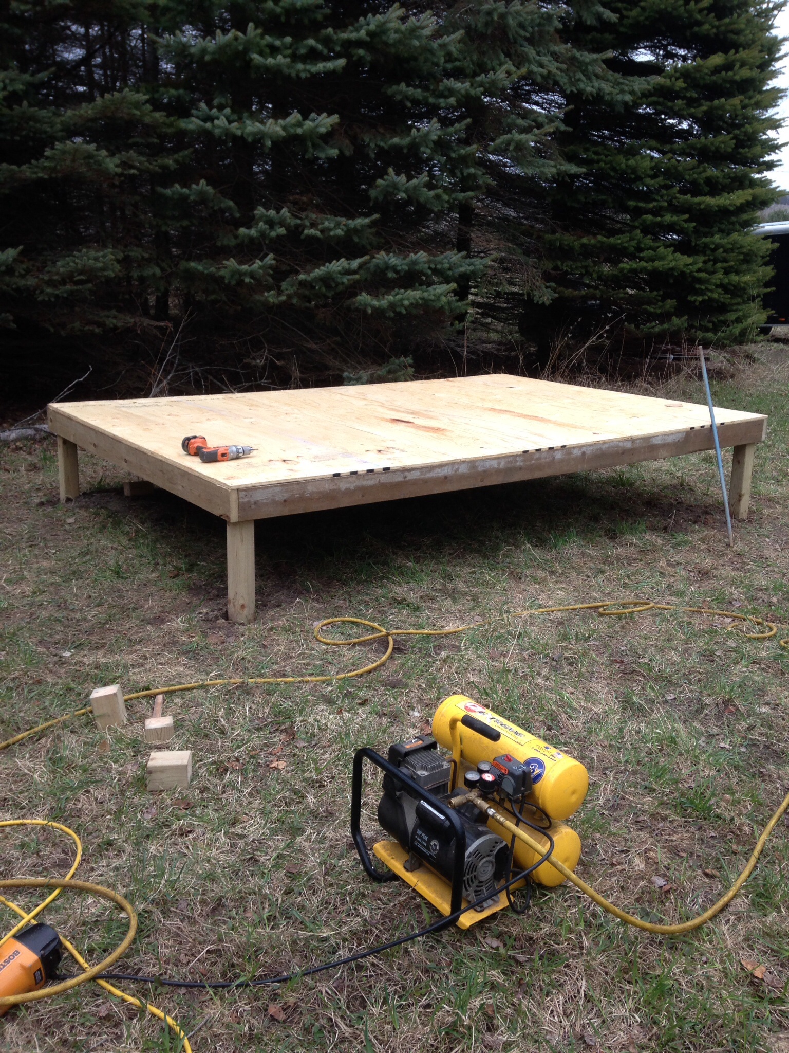 Platform complete. | BackYard Chickens - Learn How to Raise Chickens