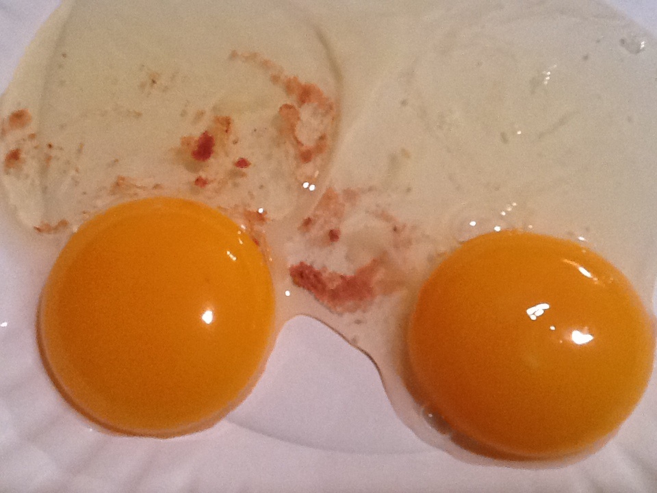 Problem eggs | BackYard Chickens - Learn How to Raise Chickens