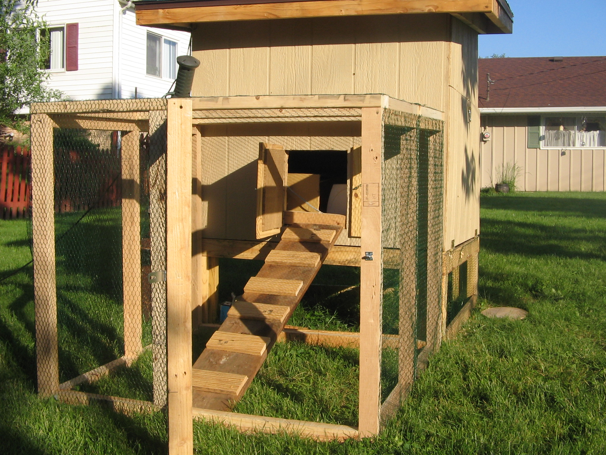 rear view | BackYard Chickens - Learn How to Raise Chickens