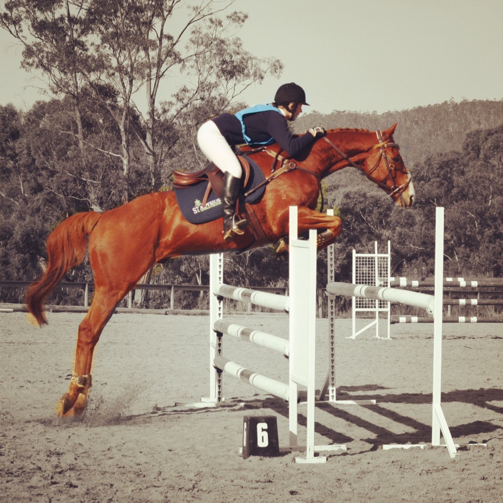 "Rustic Fire ". Tasmanian Inter schools show jumping championship. 2013 ...