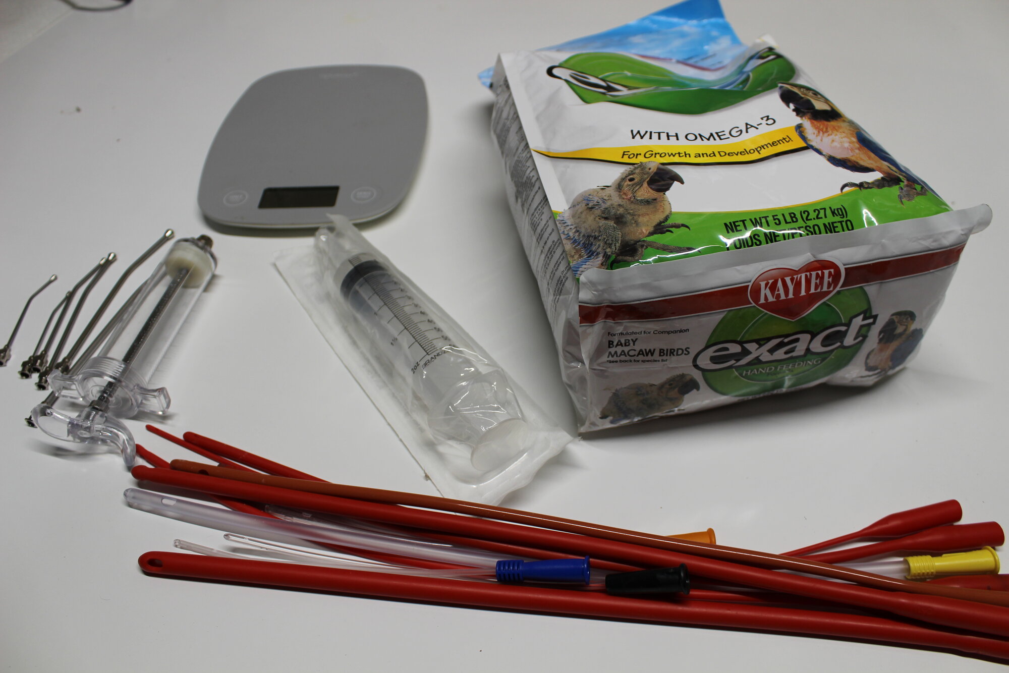 Test12.JPG | BackYard Chickens - Learn How to Raise Chickens