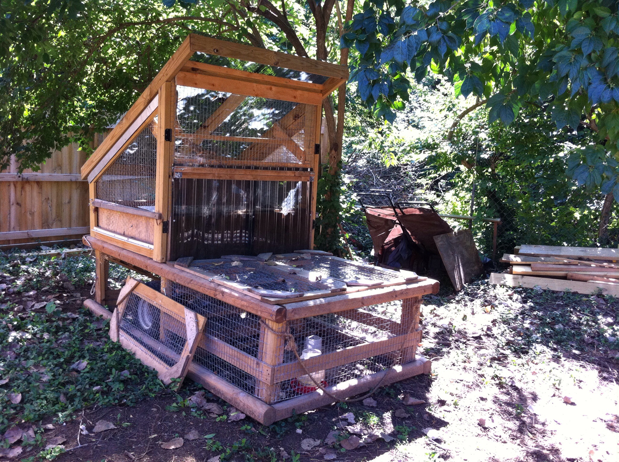 The chicken yard | BackYard Chickens - Learn How to Raise Chickens