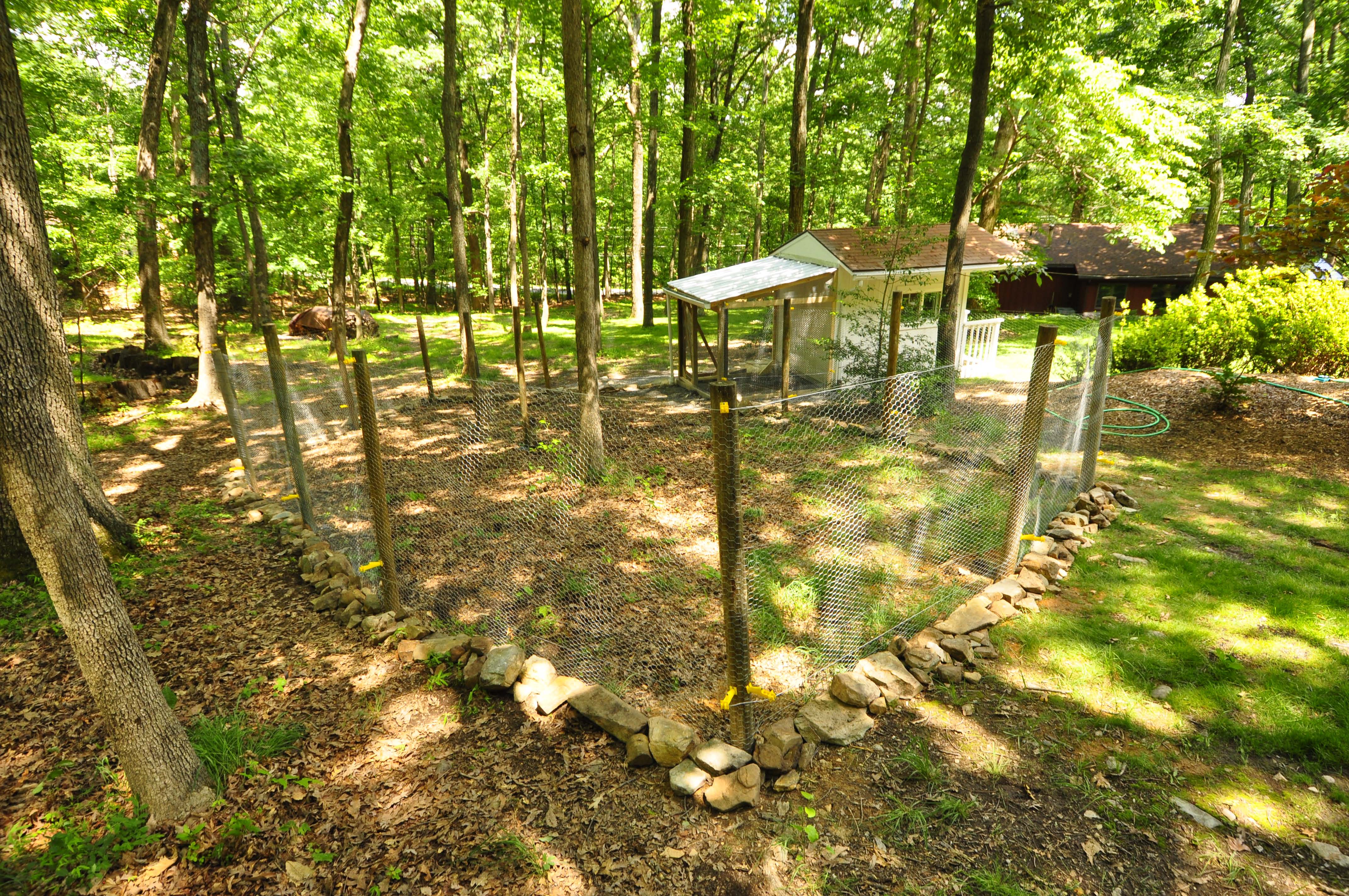 The exercise yard | BackYard Chickens - Learn How to Raise Chickens