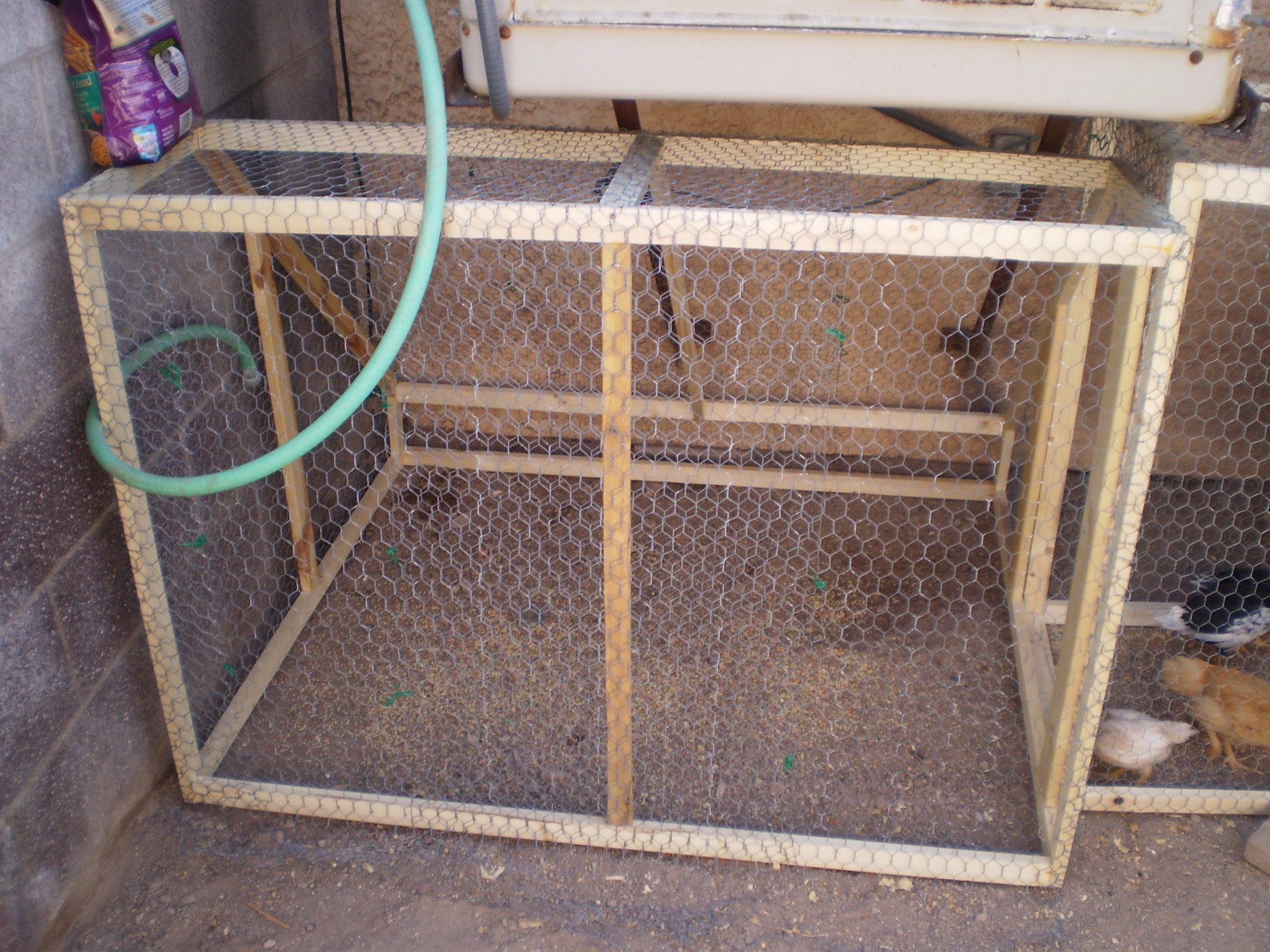 free baby chicks in there coop and run lots of pics | BackYard Chickens ...