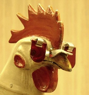 Chicken Eyeglasses