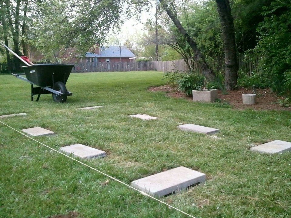 Bluegrass Coop Backyard Chickens Learn How To Raise Chickens